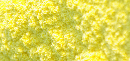 January 2014 – The Edible Forest