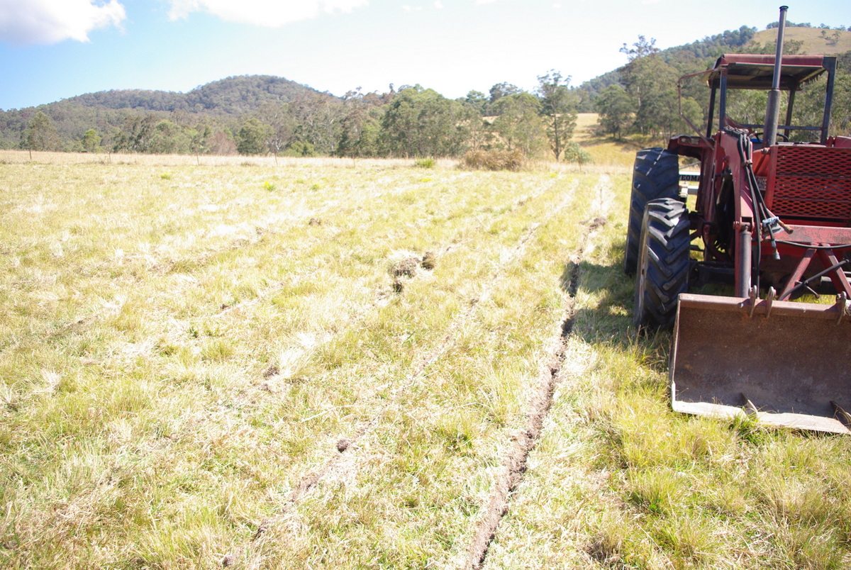 Keyline Tilling – The Edible Forest